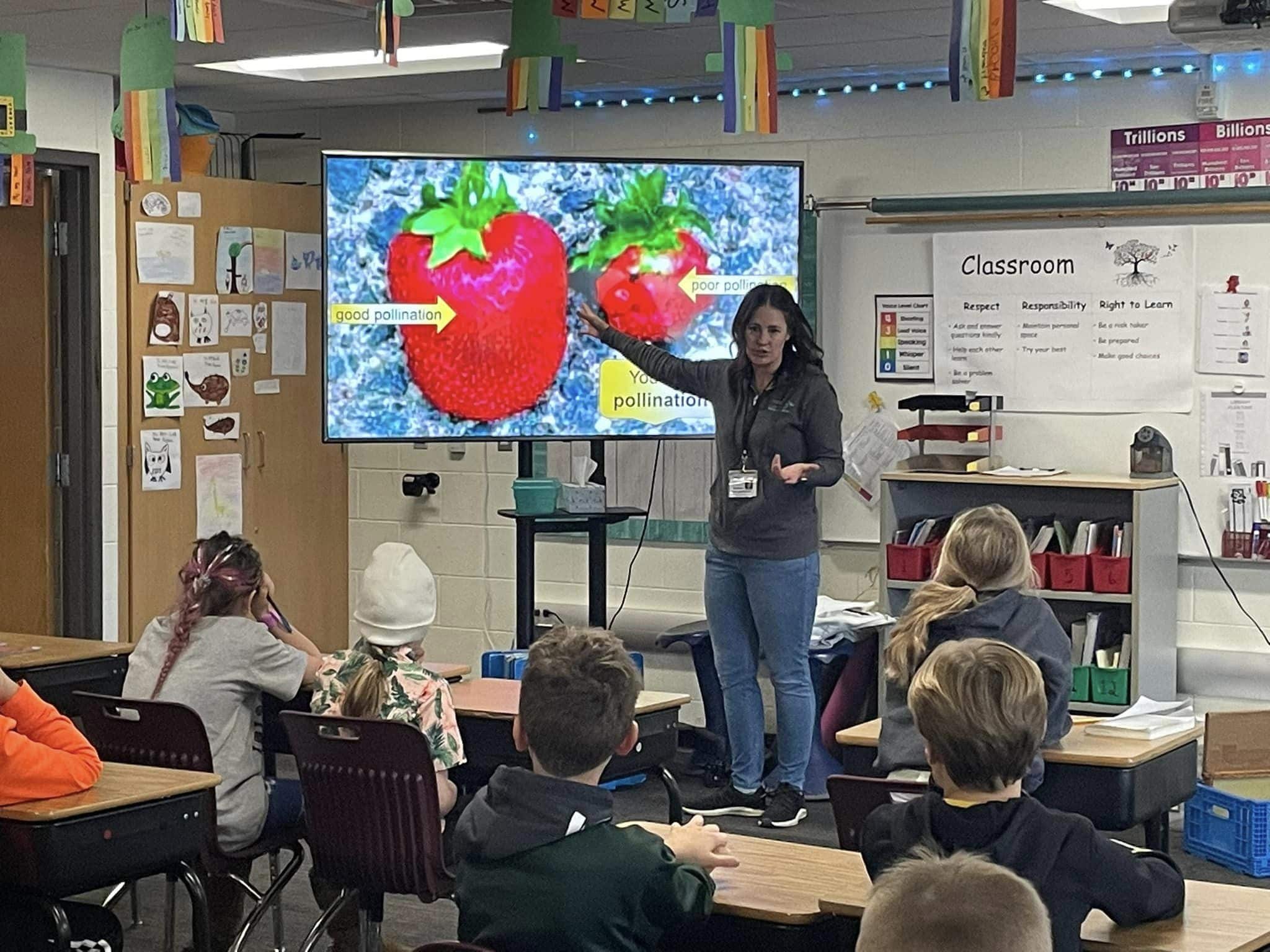 Kids Learn About Pollination and Beekeeping - HOPE Gardens