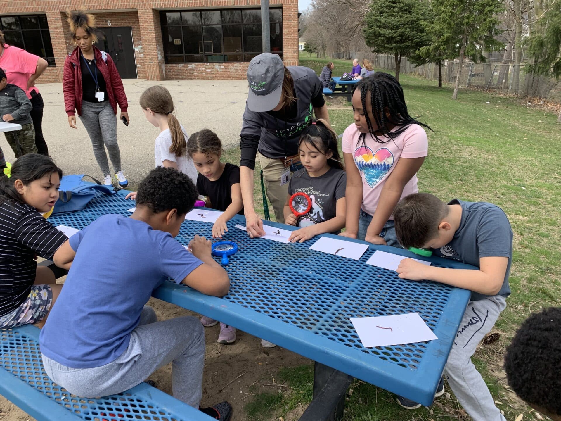 Unearthing the Garden's Secret Helpers: Worms - HOPE Gardens