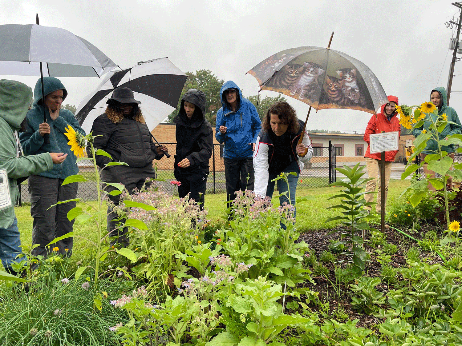MSU Students Tour H.O.P.E. Gardens - HOPE Gardens