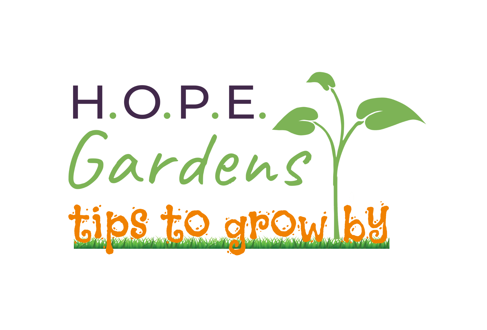 AUTUMN GARDEN TIP: TIME TO WINTERIZE! - HOPE Gardens
