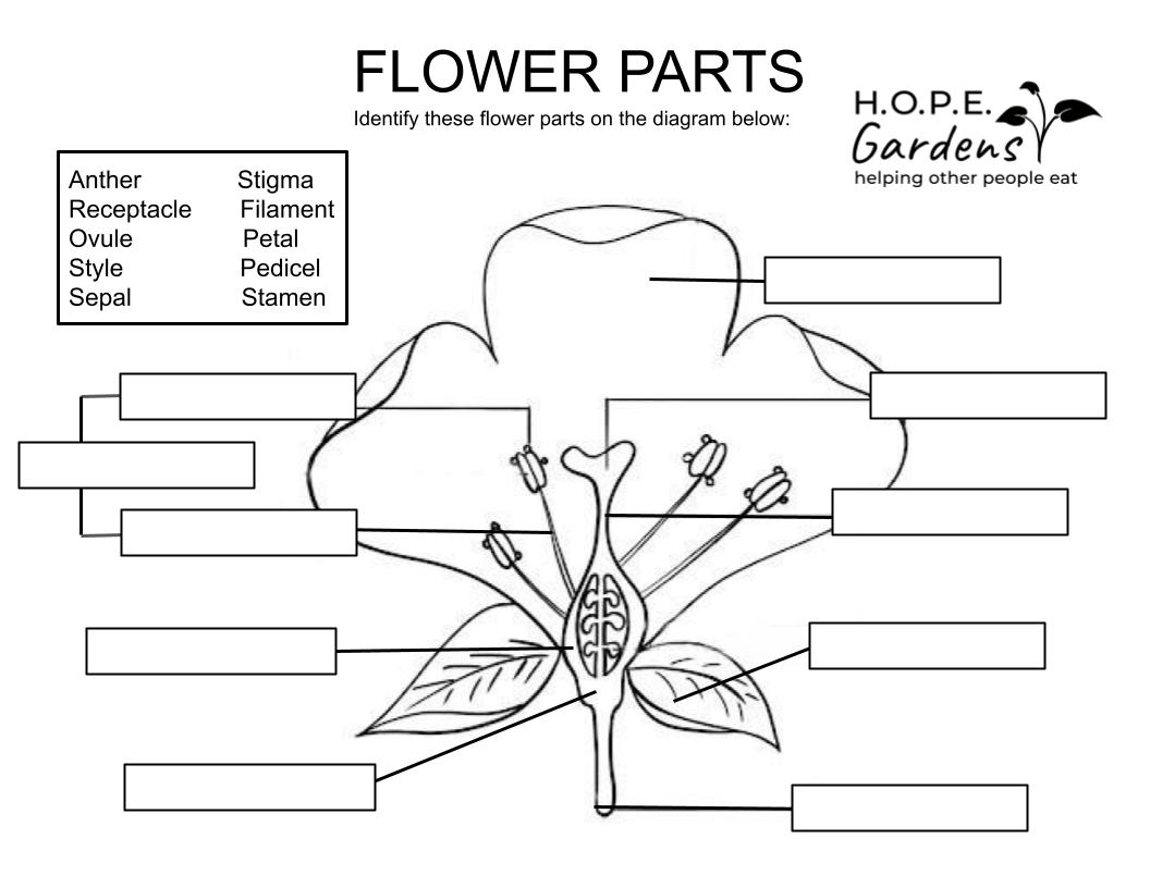 Free Resources - HOPE Gardens