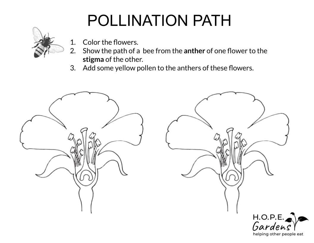 Free Resources - HOPE Gardens
