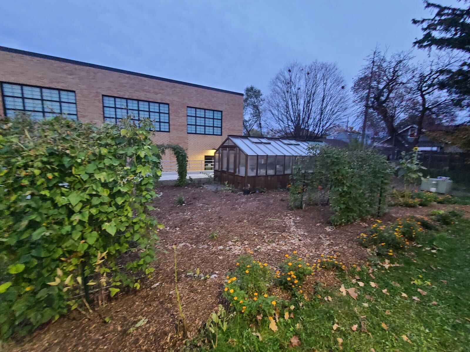 Putting Our Gardens to Sleep for the Winter - HOPE Gardens
