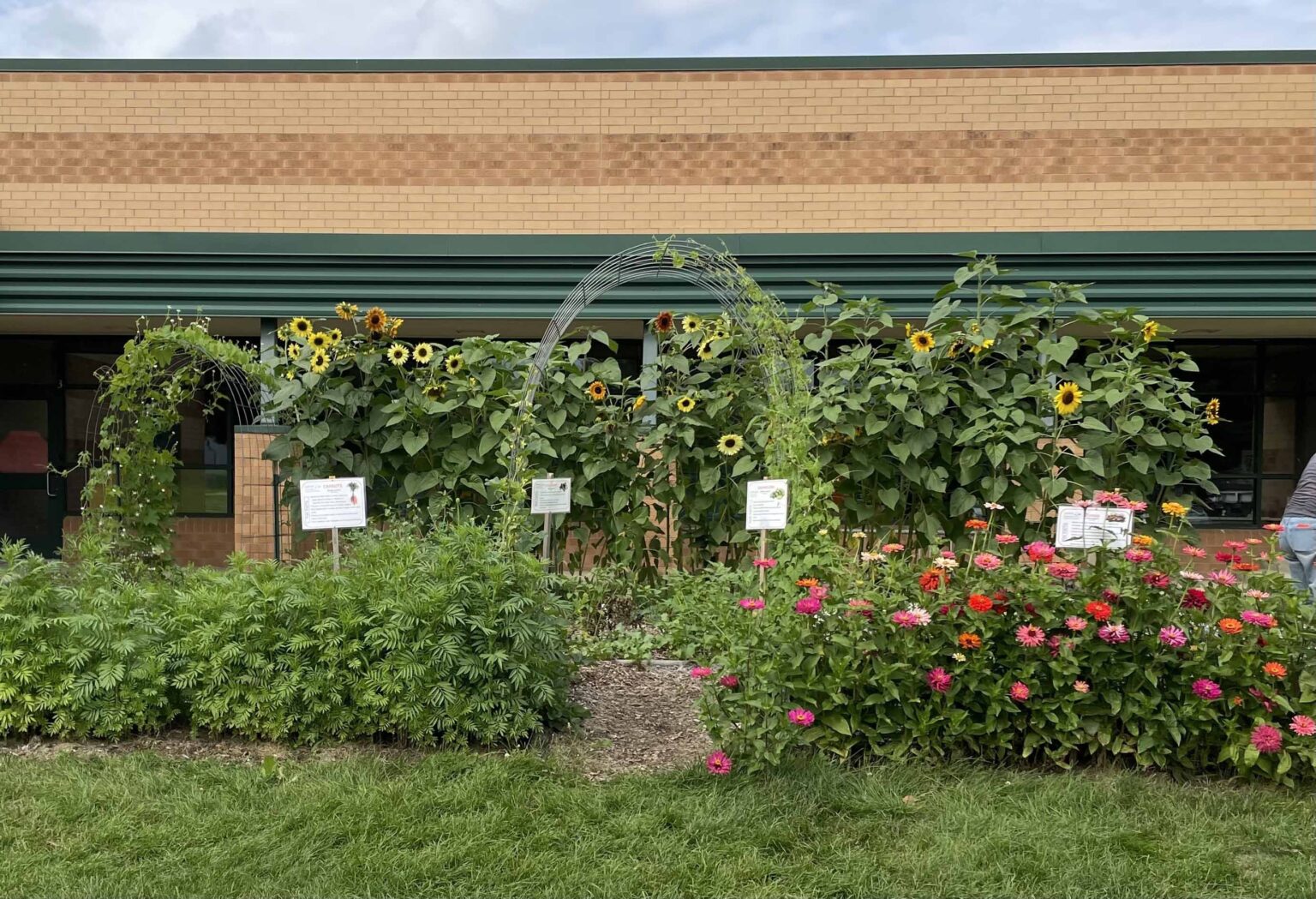 Reflecting on 2024 and Growing Together in 2025 - HOPE Gardens